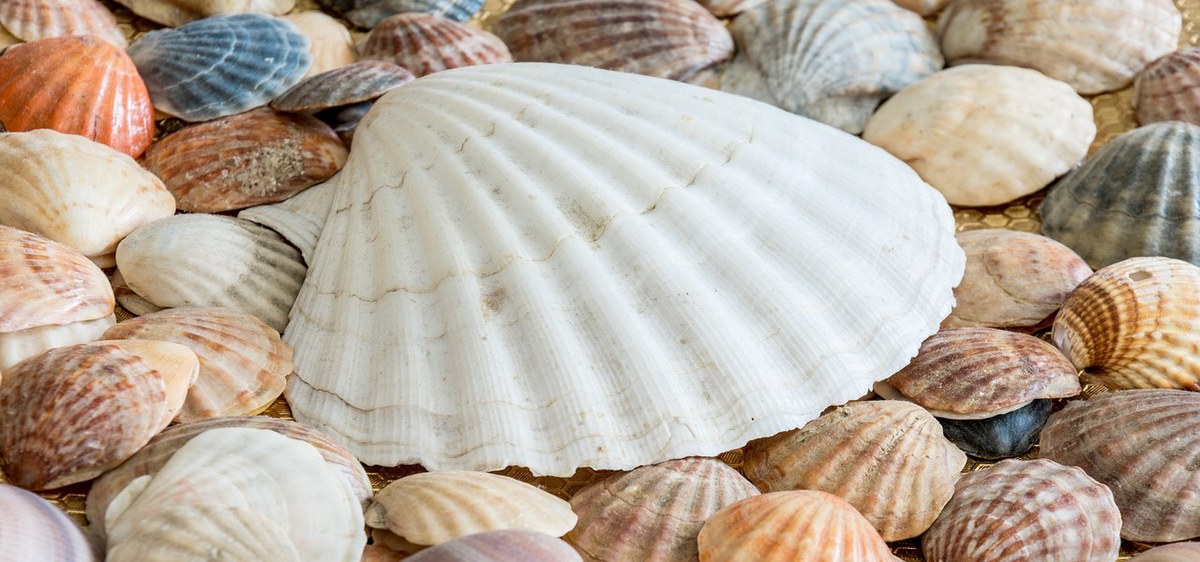 Bash Color Escape Codes — golbew|weblog